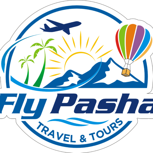 Flypasha.net
